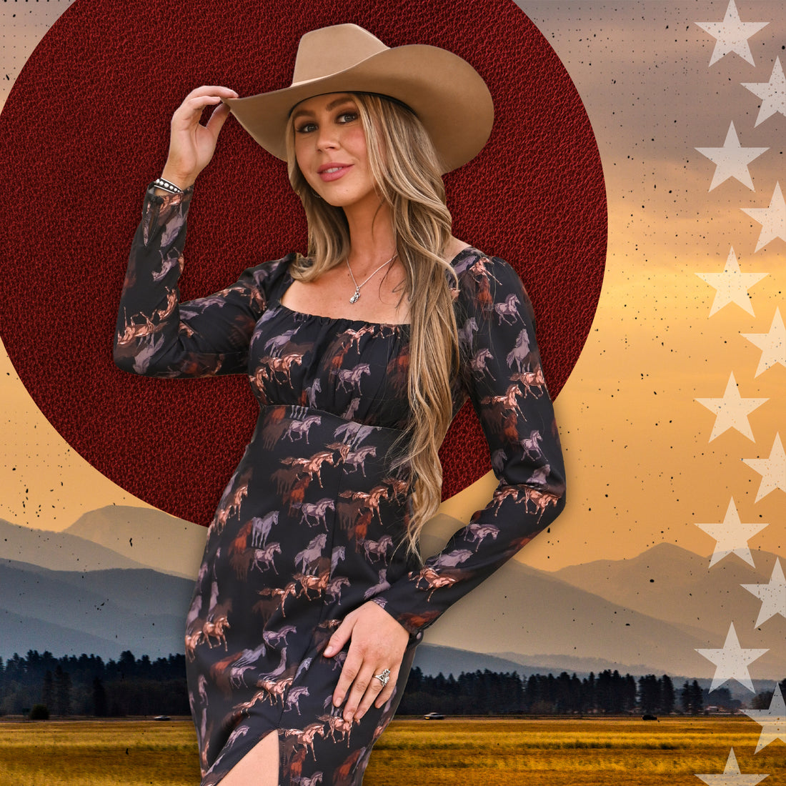 Rock and Roll Denim® Official - Premium Jeans and Western Shirts | Rock ...